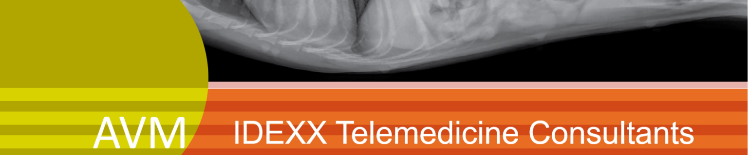 IDEXX Telemedicine Consultation – Asia Vet Medical Limited